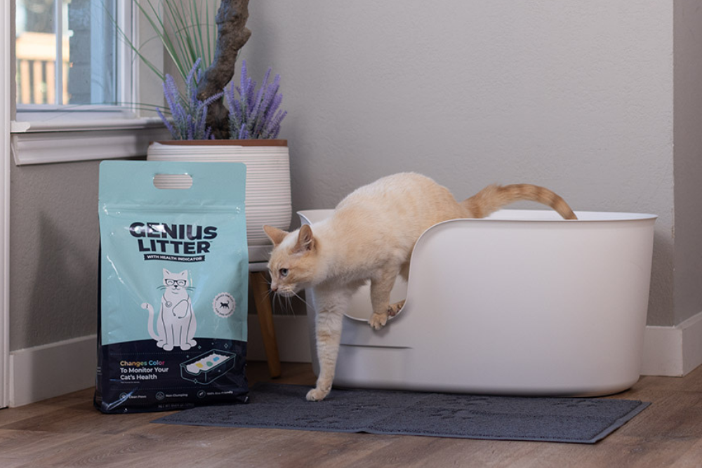 Genius Litter Vs Pretty Litter